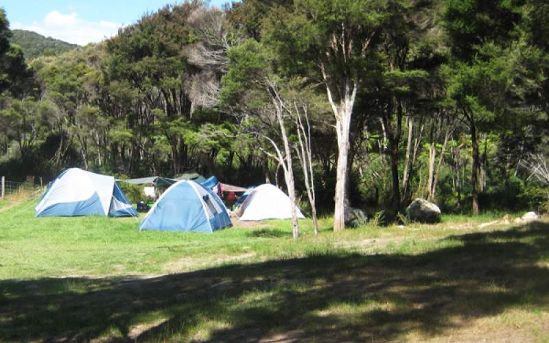 Russell - Orongo Bay Holiday Park | Full Service Camp | New Zealand